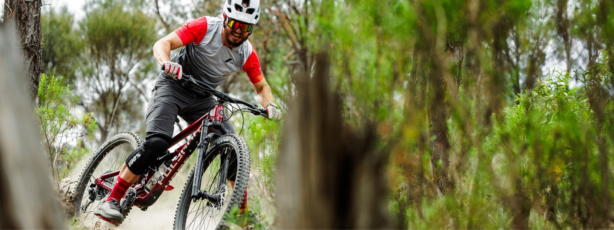 Polygon Collosus N Series