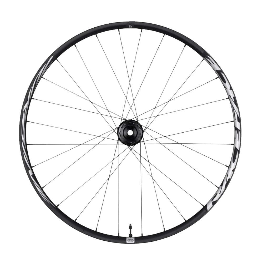Raceface Turbine E-MTB Alloy Front Wheel